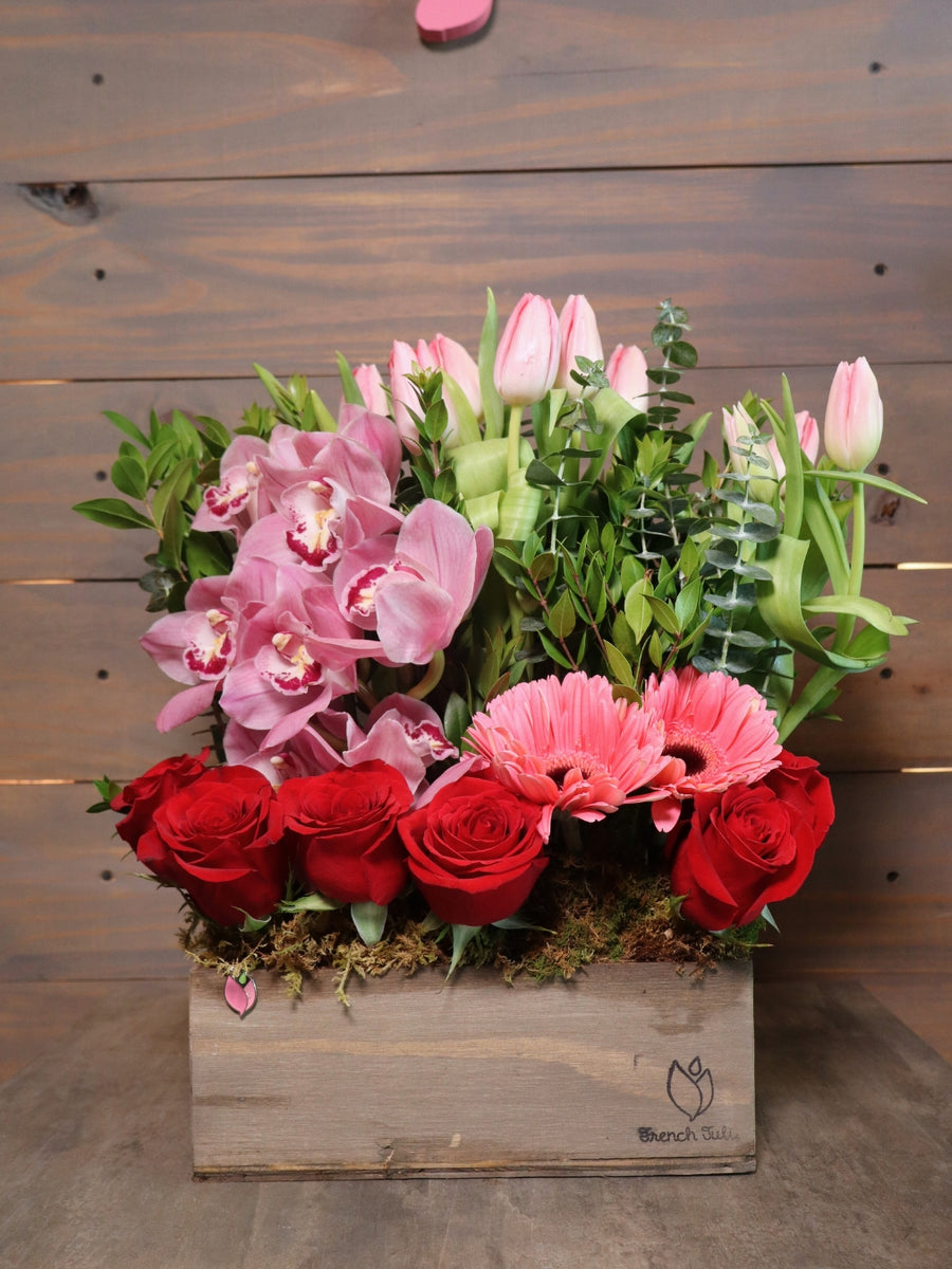 New Chapter – French Tulip