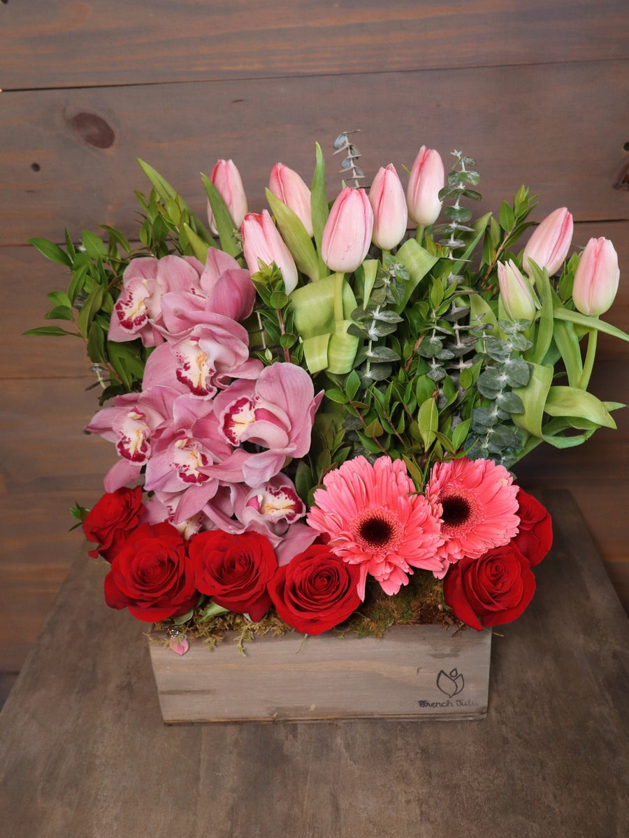 New Chapter – French Tulip